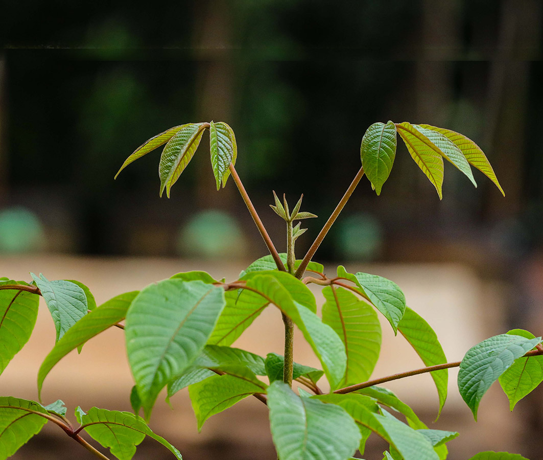 Green Matters – Just another WordPress site